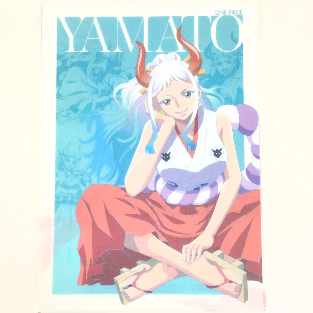 Ichiban Kuji One Piece EX ONE PIECE GIRL'S COLLECTION F Prize Visual S – NANYAKANYA